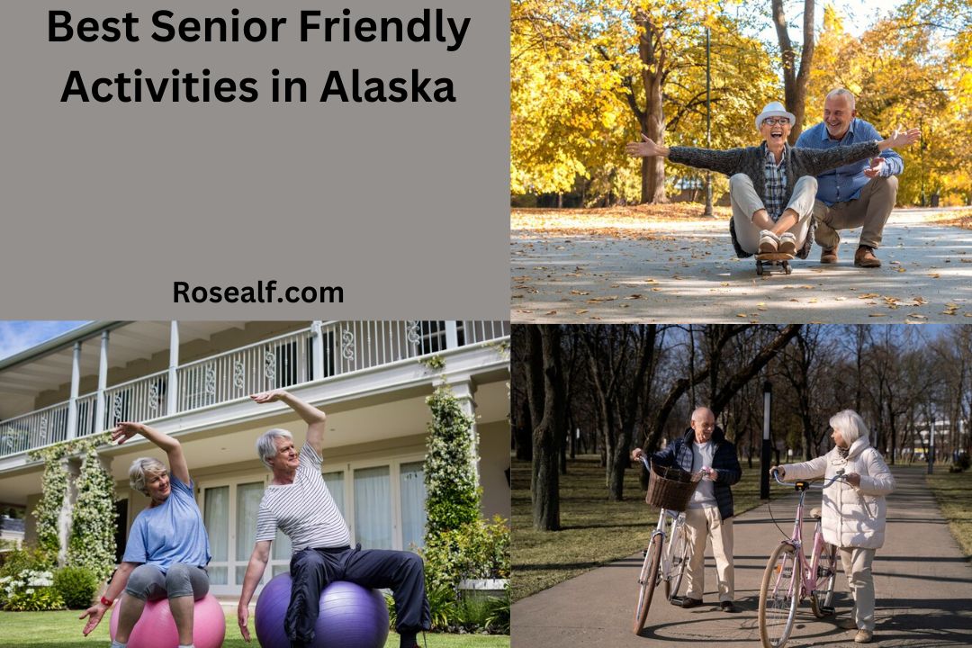 Best Senior Friendly Activities in Alaska - Rosealf
